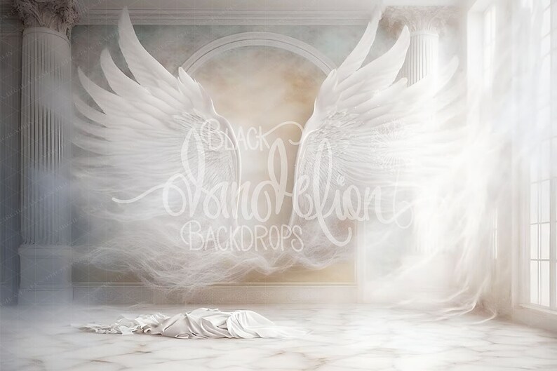 Angel Wings Digital Backdrop, Digital Backdrop for Photoshop, AI ...
