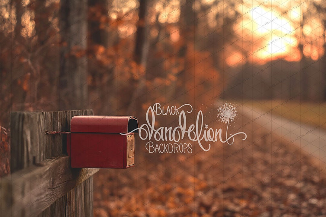 Autumn Mail, Mail Box, Digital Background, Children Digital Backdrop ...