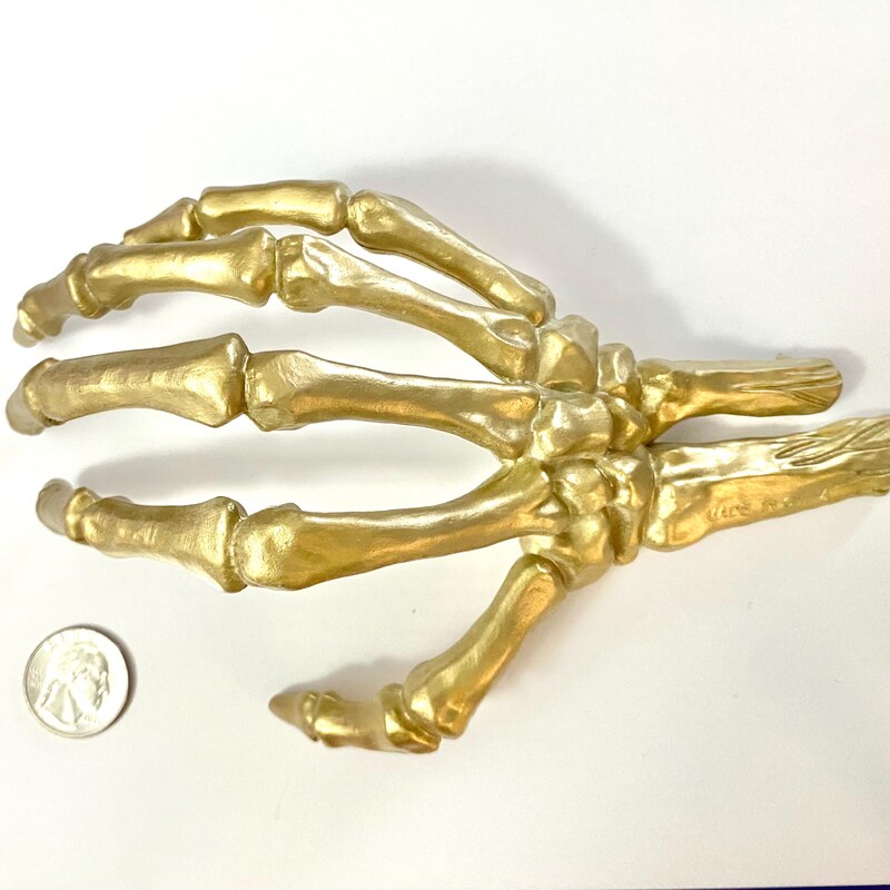 Skeleton Hand Mold - Etsy