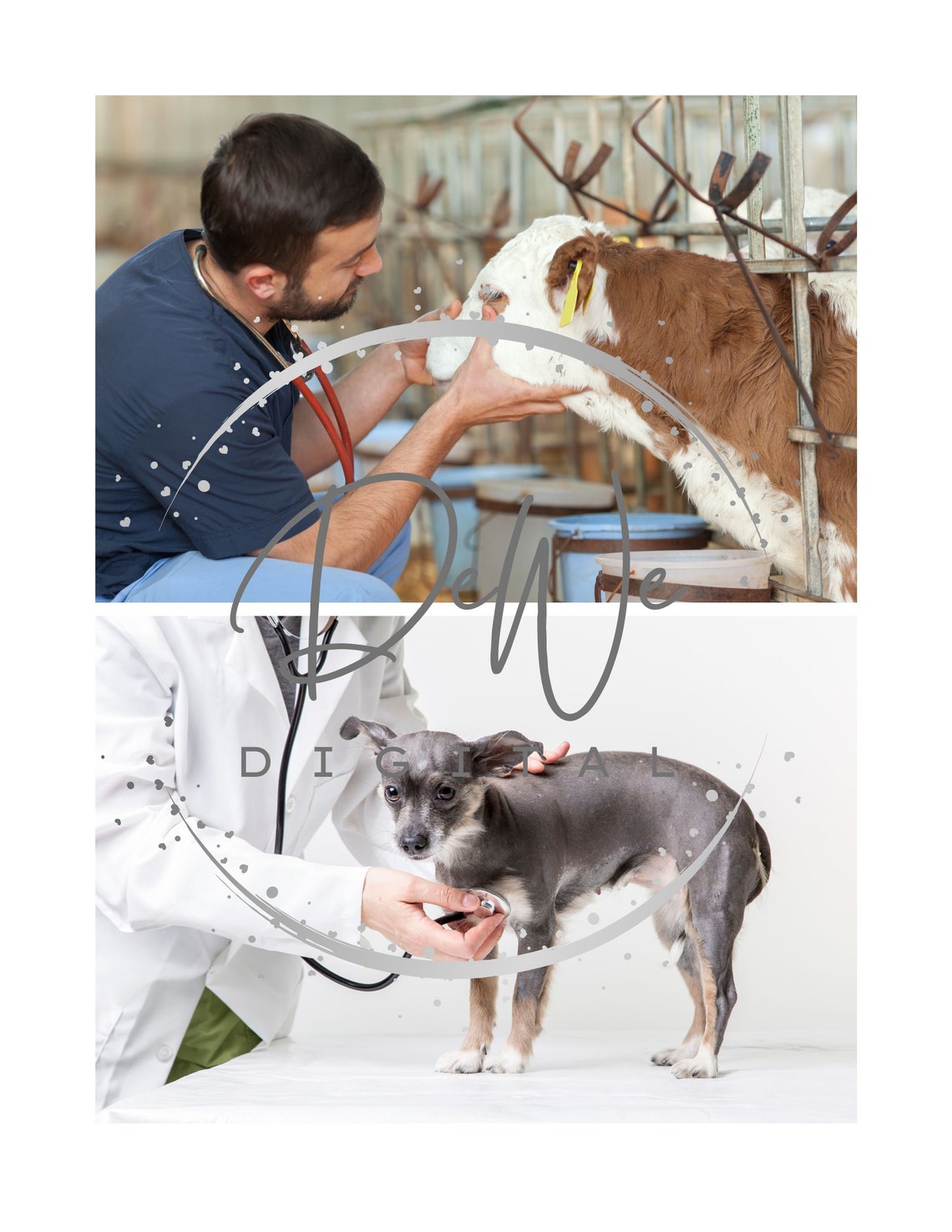 Vet Dramatic Play Pictures and Rolls, Veterinarian Real World Play ...