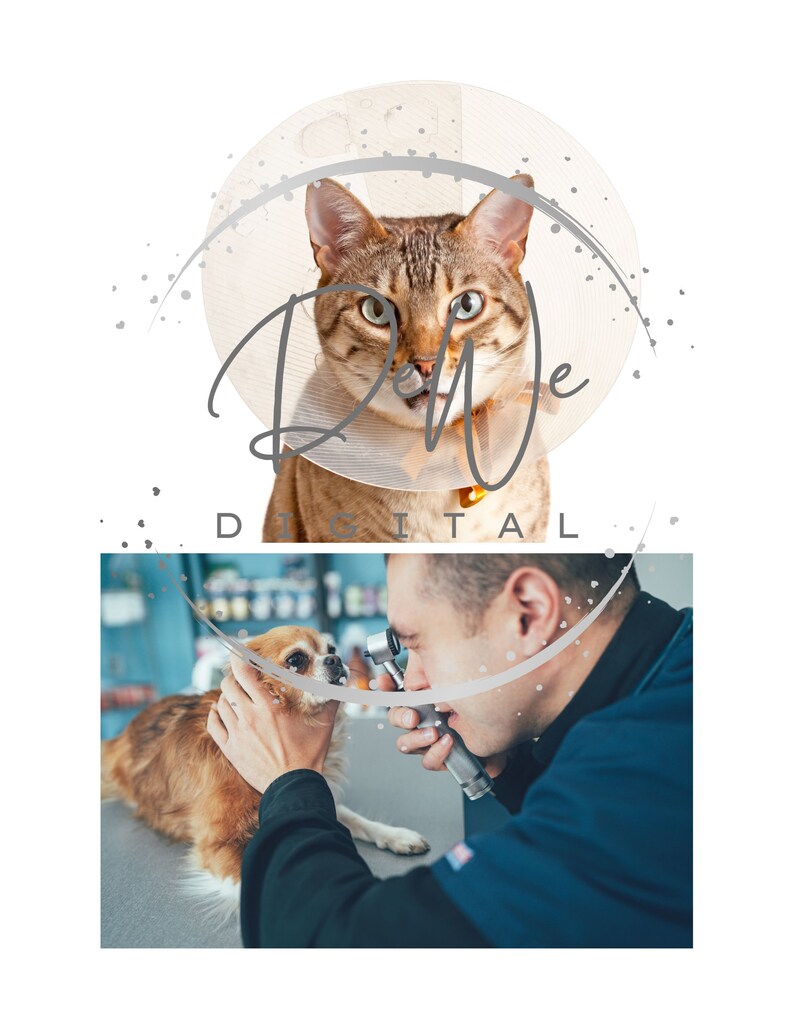 Vet Dramatic Play Pictures and Rolls, Veterinarian Real World Play ...