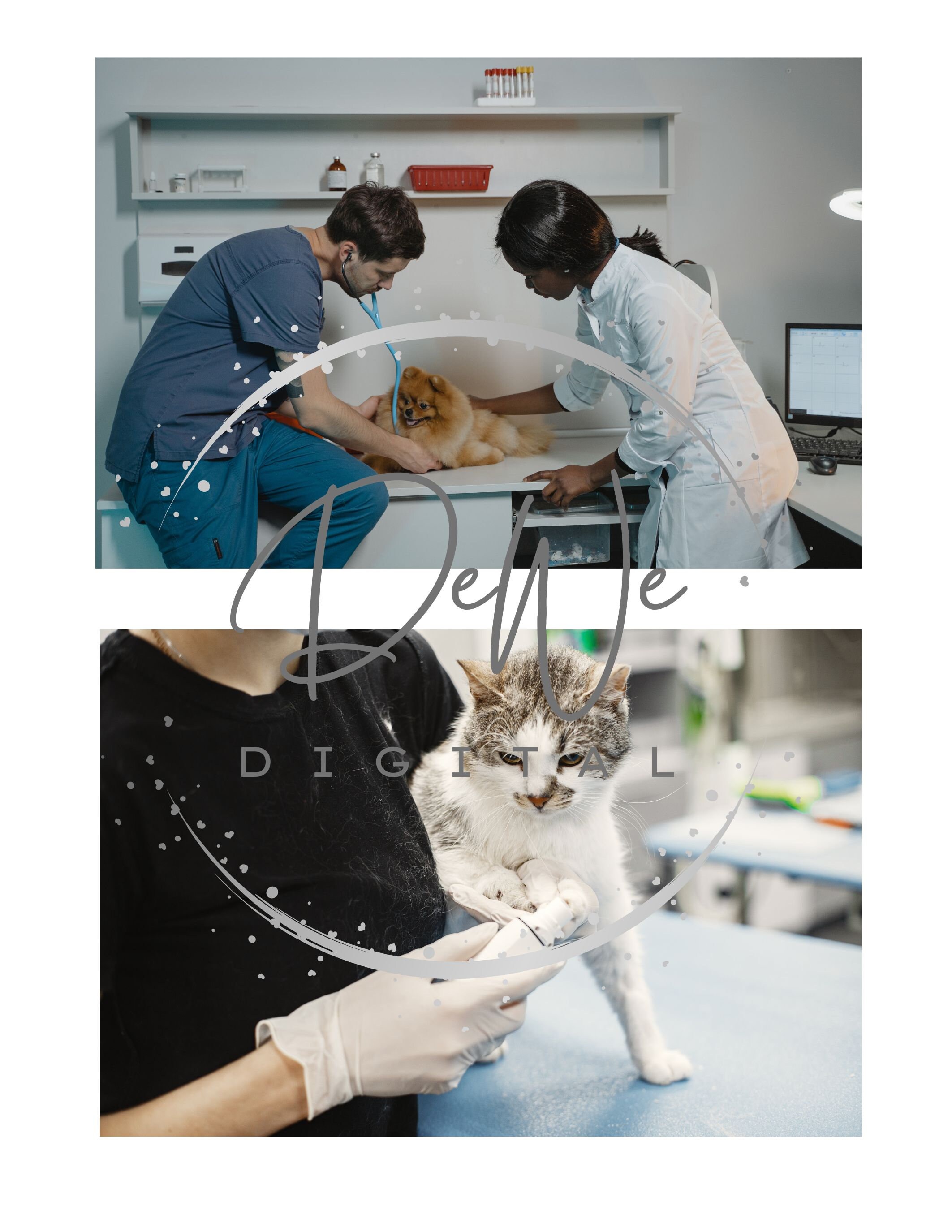 Vet Dramatic Play Pictures and Rolls, Veterinarian Real World Play ...