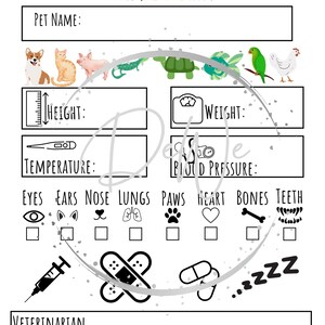 Vet Dramatic Play Bundle 14 Pages Digital Download, Vet Pretend Play ...