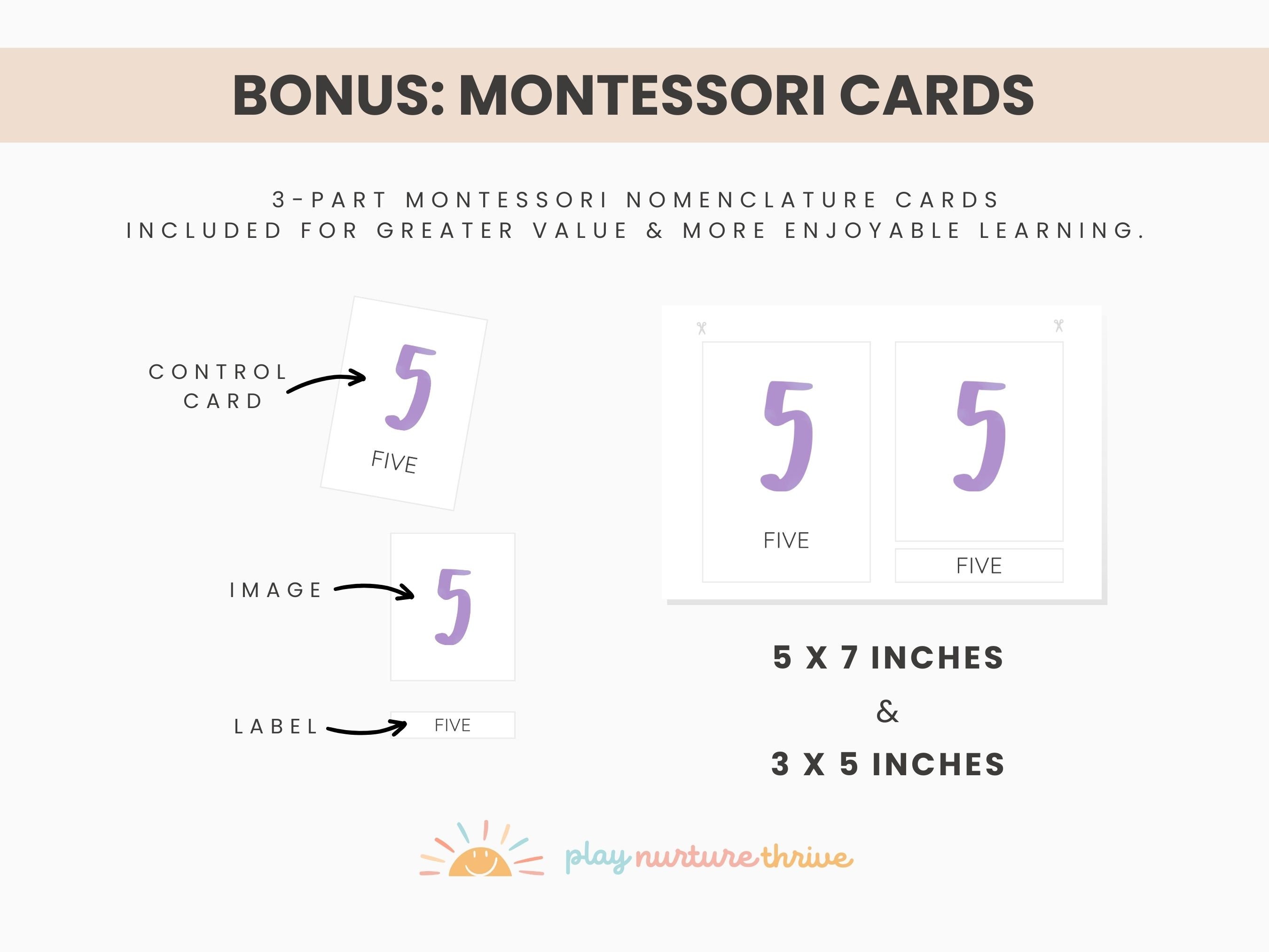 Montessori Numbers, 1-20 Printable Flashcards, Preschool Numbers ...