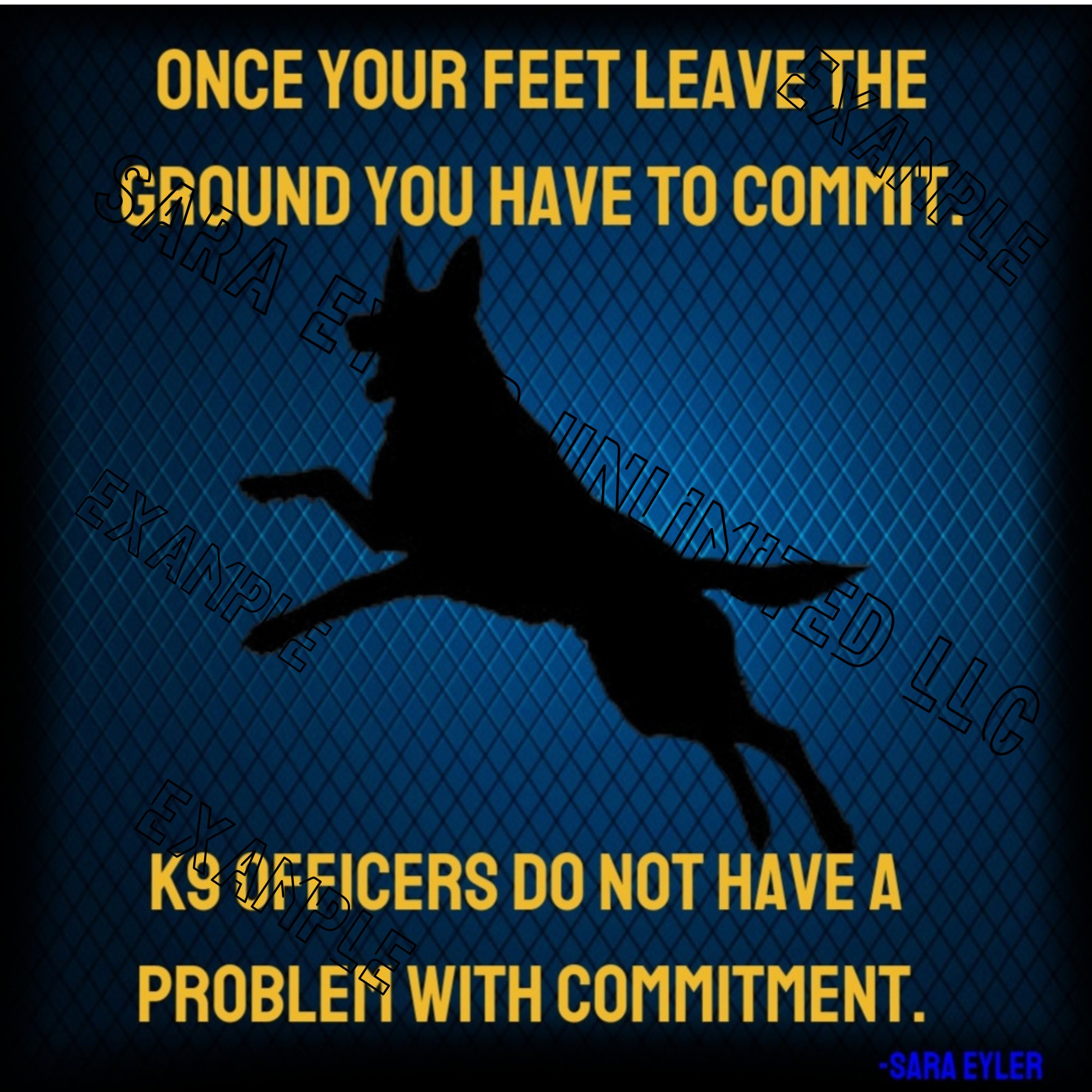 Thin Blue Line K9 Quote "once Your Feet Leave the Ground, You Have to ...