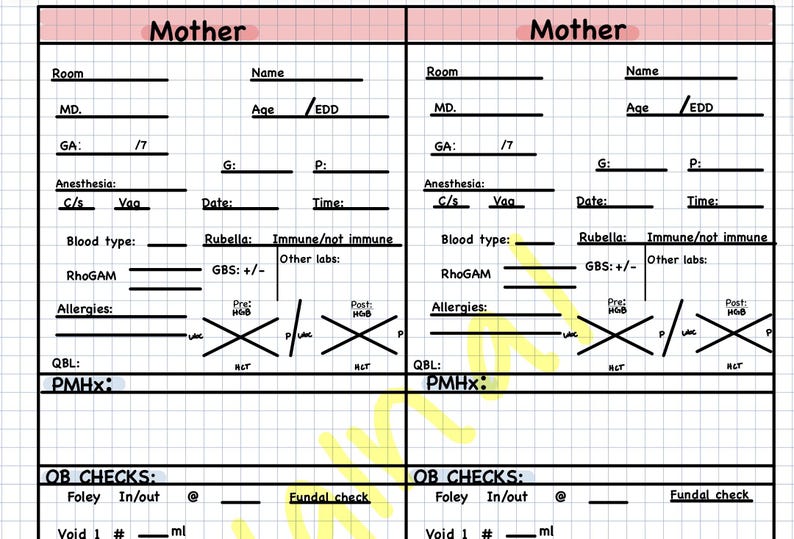 Labor and Delivery Report Sheet/nurse Brain - Etsy