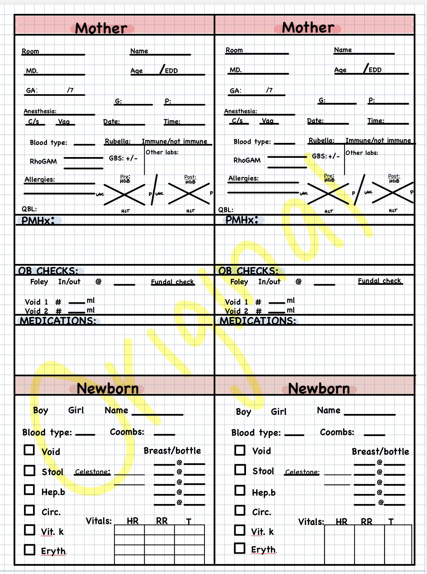Labor and Delivery Report Sheet/nurse Brain - Etsy