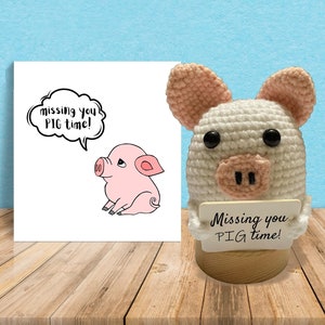Crochet Positive Pig - Spread Joy and Positivity - Complete With ...