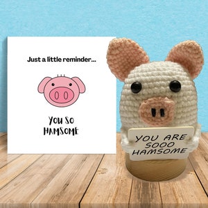 Crochet Positive Pig - Spread Joy and Positivity - Complete With ...