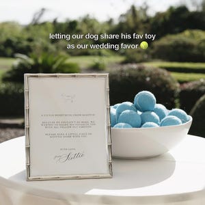 Custom Tennis Balls | Custom Shop - Wedding Party Favors for Dog ...