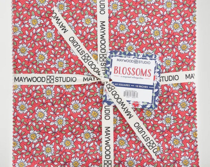 Let's Create Layer Cake 42/pkg. - Echo Park - Riley Blake Designs - Etsy