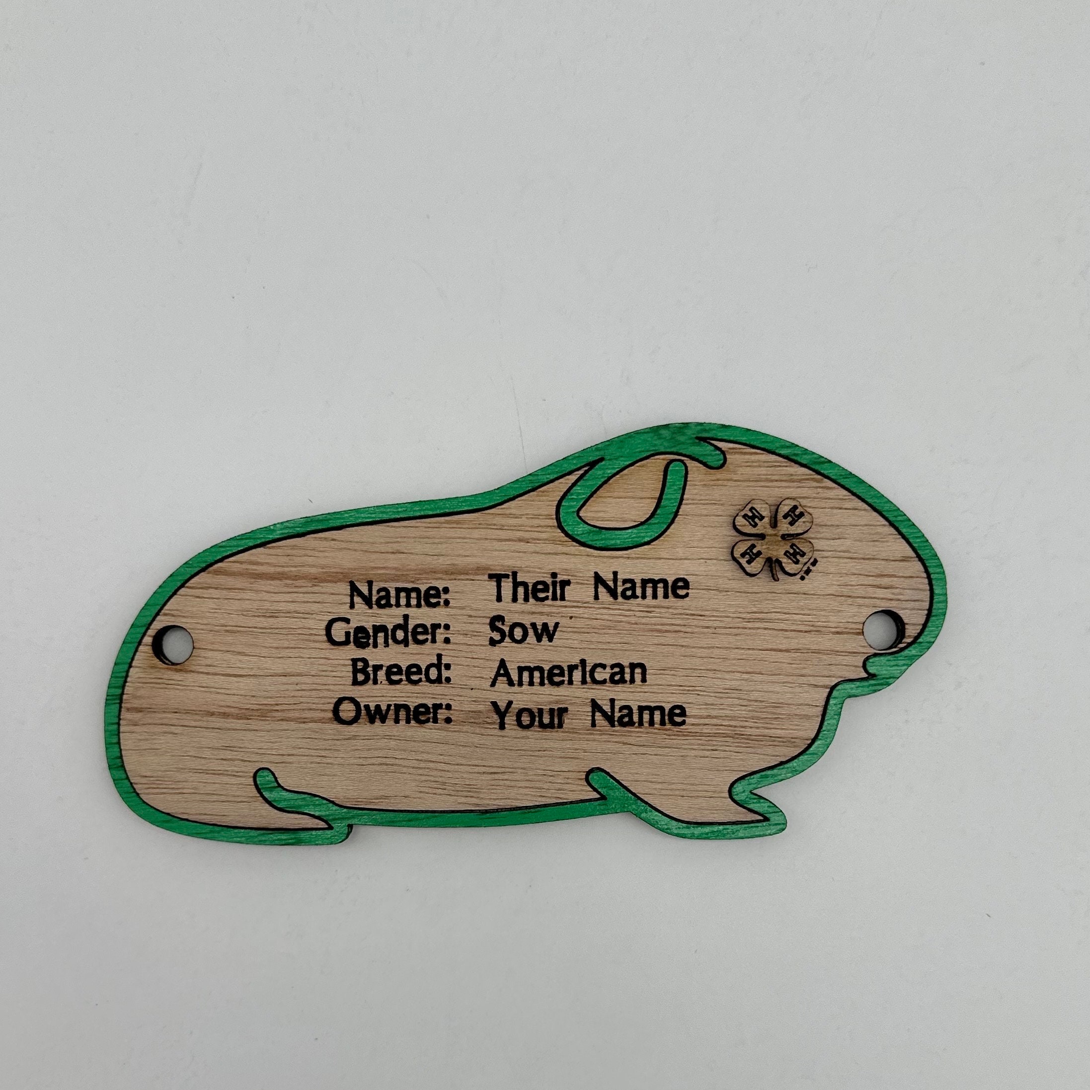 5 Cavy Cage Tag Pen Stall Name Plate Label for Livestock Shows Guinea ...