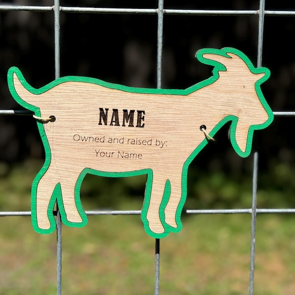 Pygmy Goat - Etsy