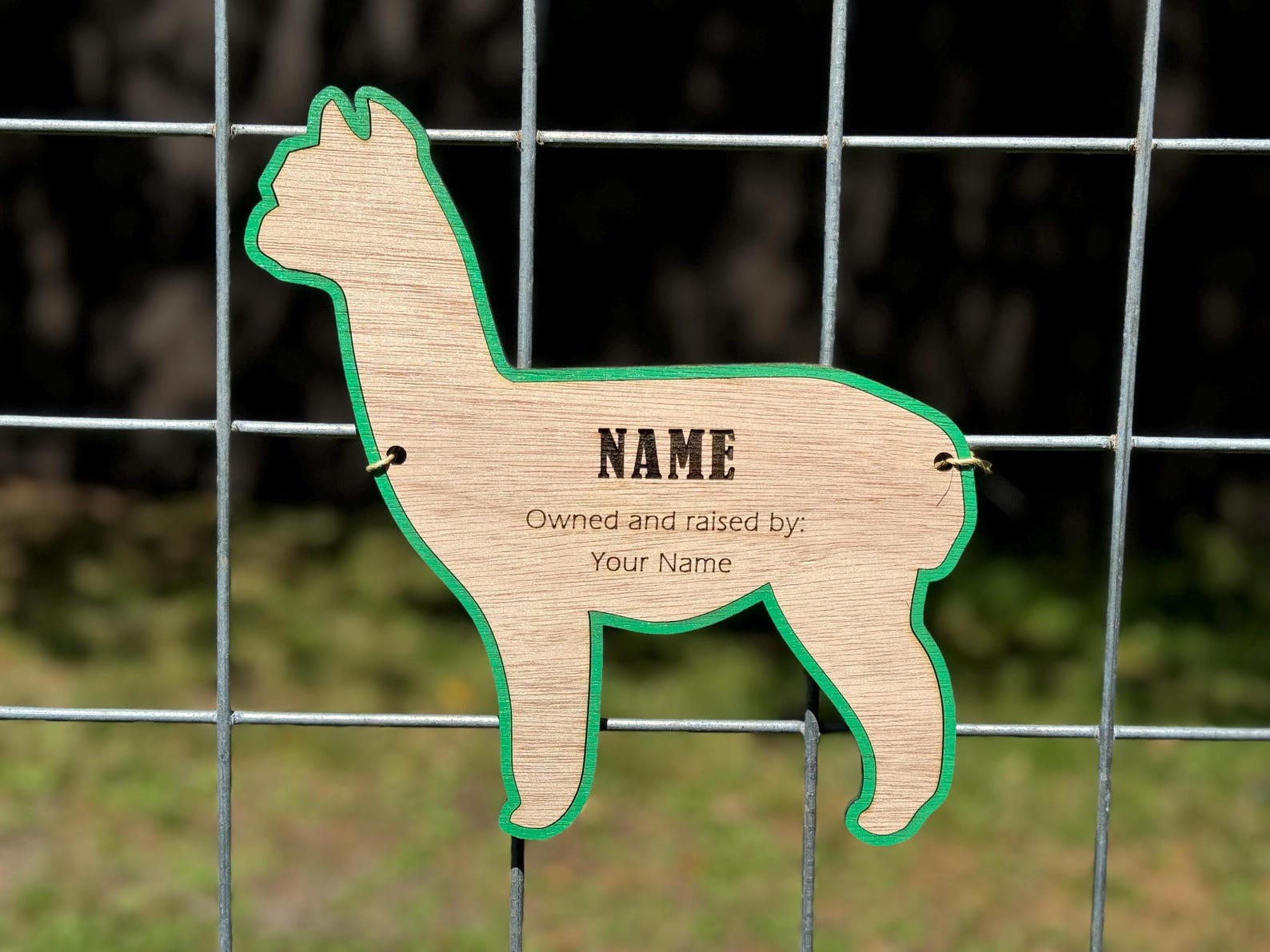 Customizable Alpaca Stall Tag or Name Plate Label for Fairs and ...