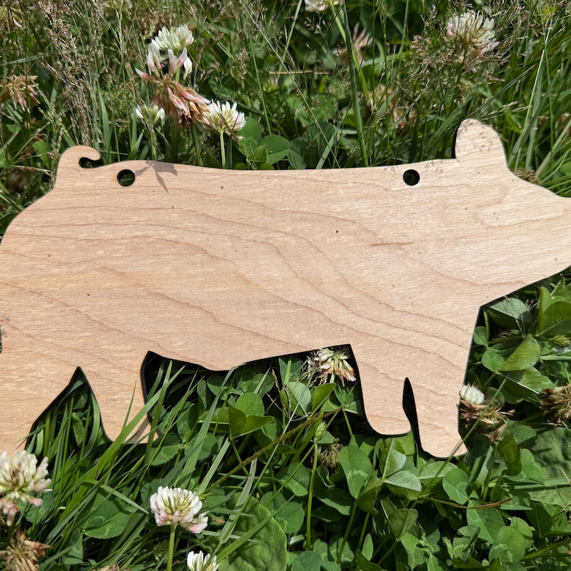 Pig Cutout - Etsy