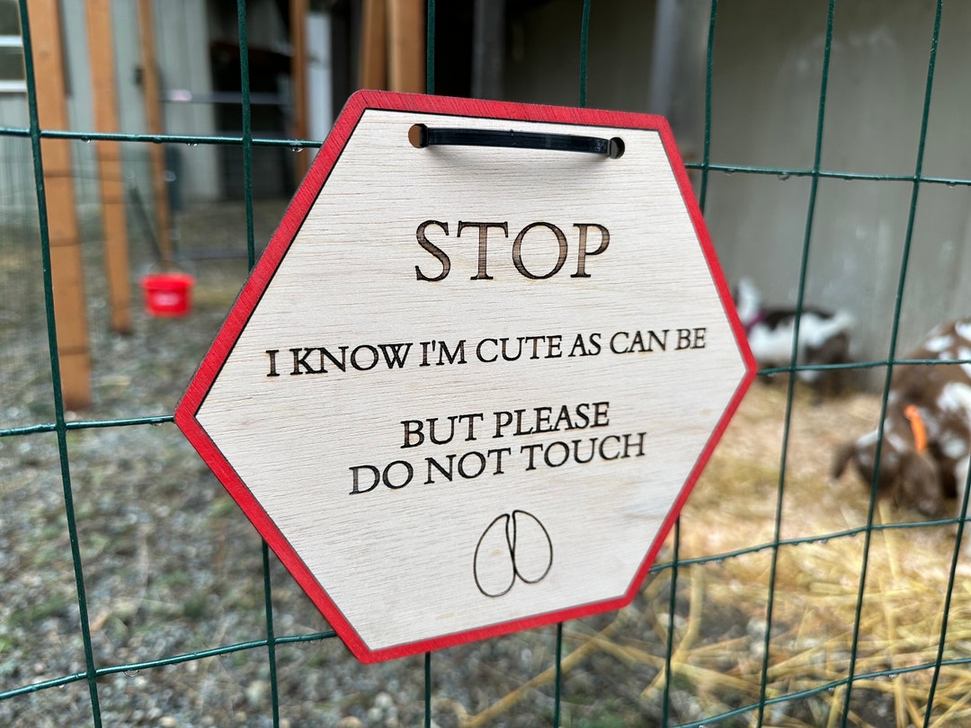 Stop, Please Don't Touch! Warning Sign to Not Pet My Animals for Fairs ...