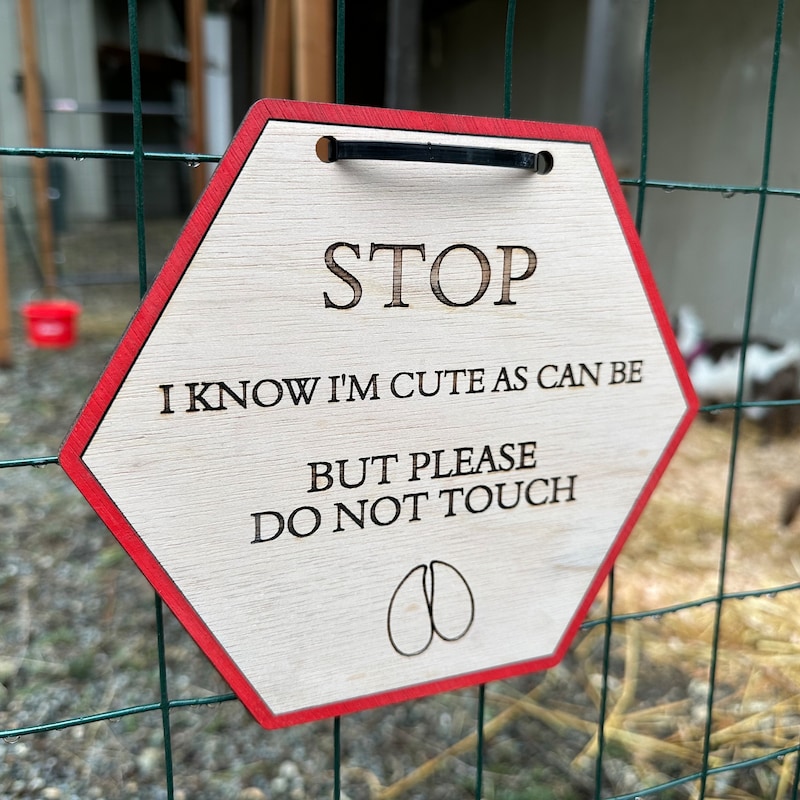 Do Not Touch Sign - Etsy
