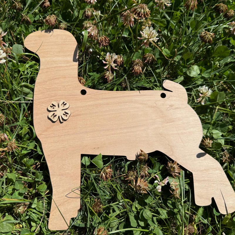 Goat Wood Signs - Etsy