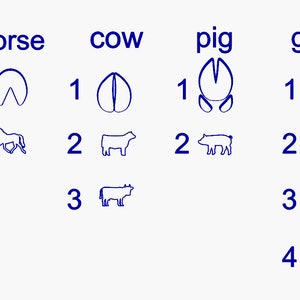 Stop, Please Don't Touch! Warning Sign to Not Pet My Animals for Fairs ...