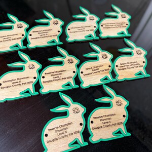 5" Rabbit Cage Tag Pen Stall Name Plate Label for Livestock Shows Bunny ...