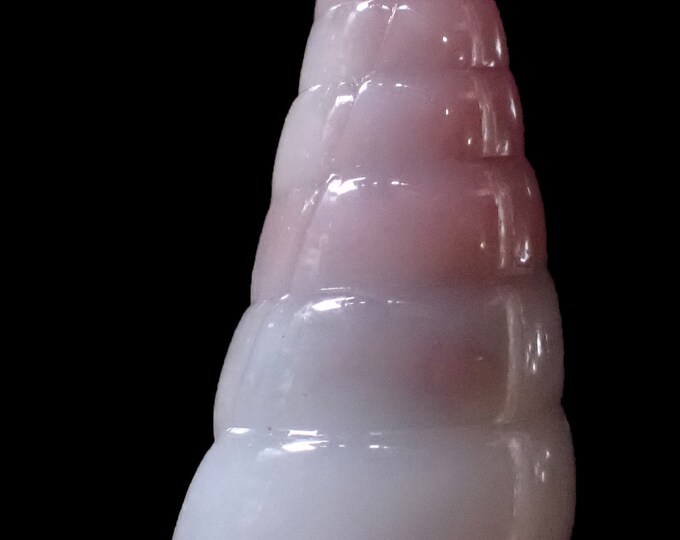 Sea Shell Melanella Solidula 36mm - Etsy