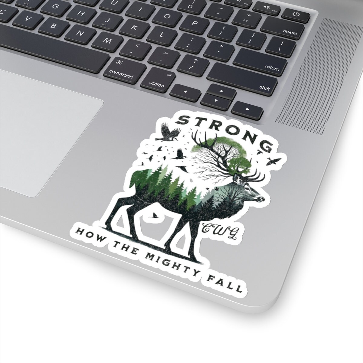 Strong How the Mighty Fall CWG Sticker, Country Concert Merch, Nature ...