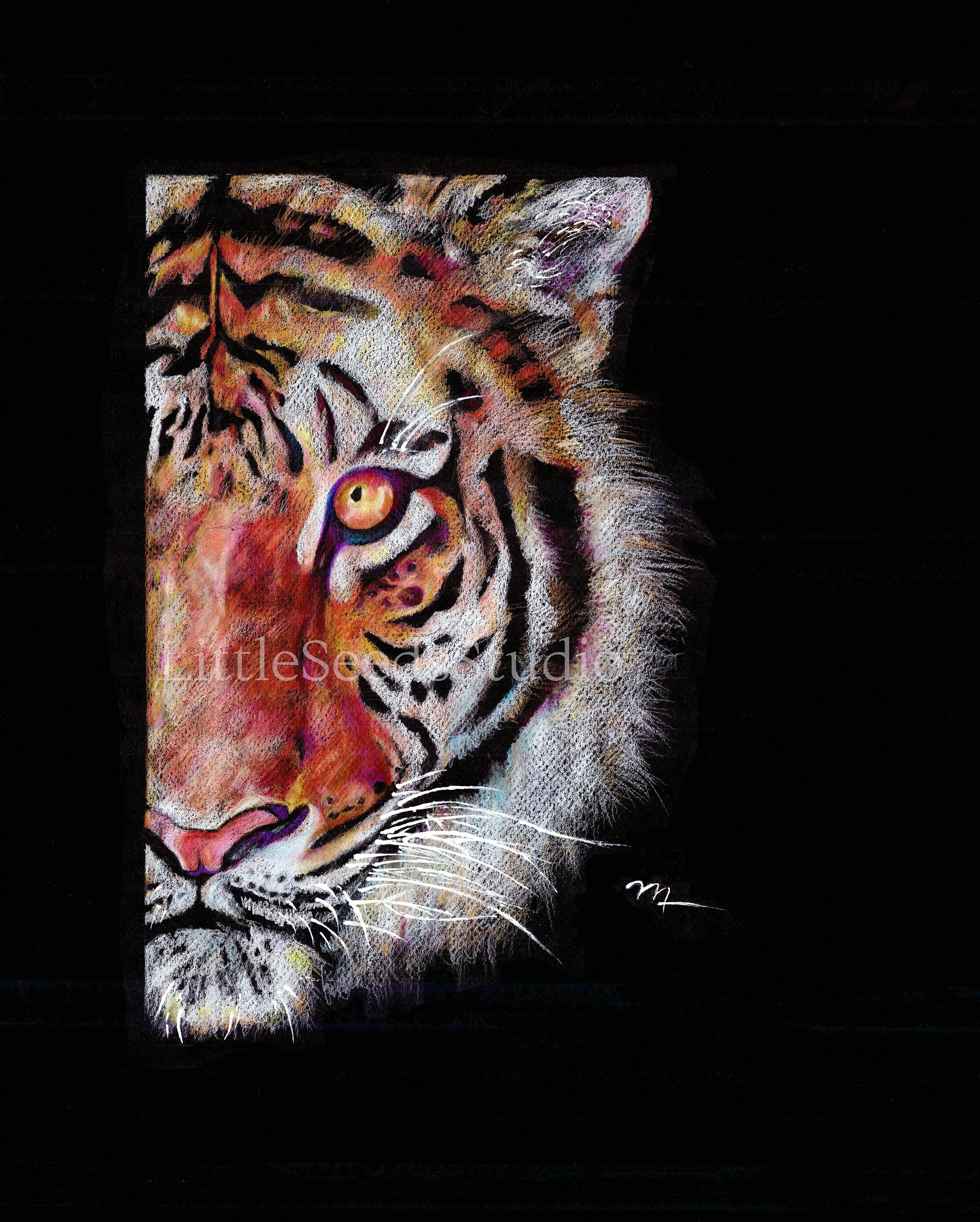 Colored Pencil Drawing of Tiger | Original Hand-drawn Artwork | 16" X ...