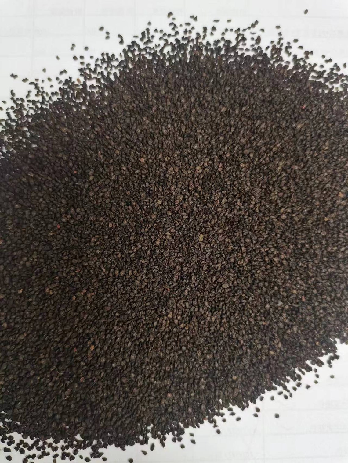 Eucalyptus Parvula "parvifolia" Wedding Cut-foliage Seeds BULK, ORGANIC ...