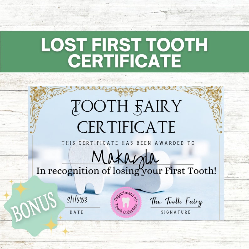 Tooth Fairy Letter Bundle With 12 Unique Letters DONE for YOU, First ...