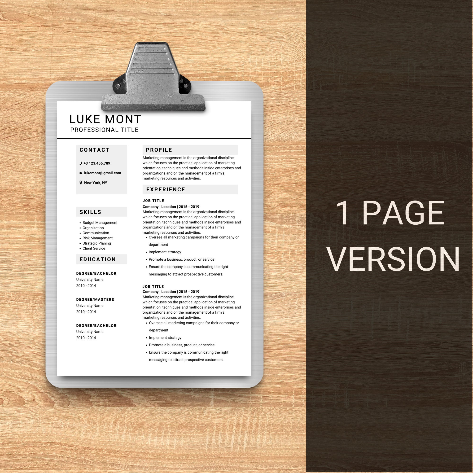 2023 Resume Template for Canva Creative Executive ATS Friendly Resume ...