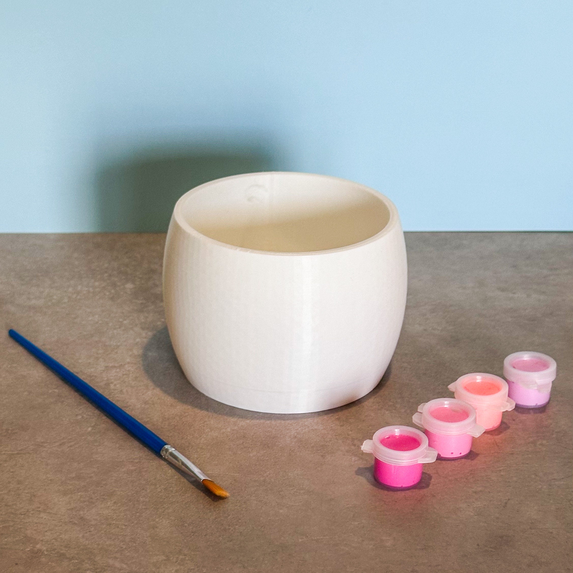 Plant Pot Painting Set, Paint Your Own Pot! Paints and Brush Included ...