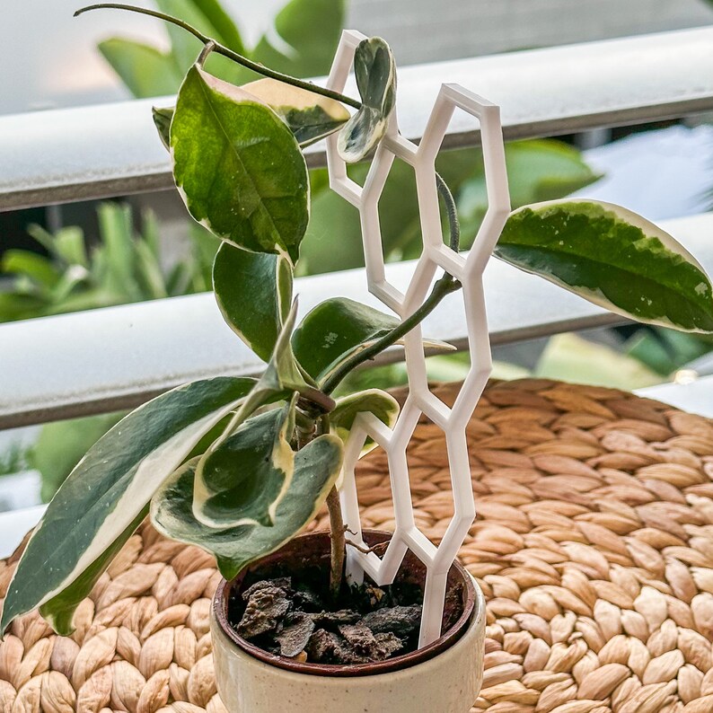 Hexagon Plant Trellis 3D Printed Minimalist Deco Suitable - Etsy