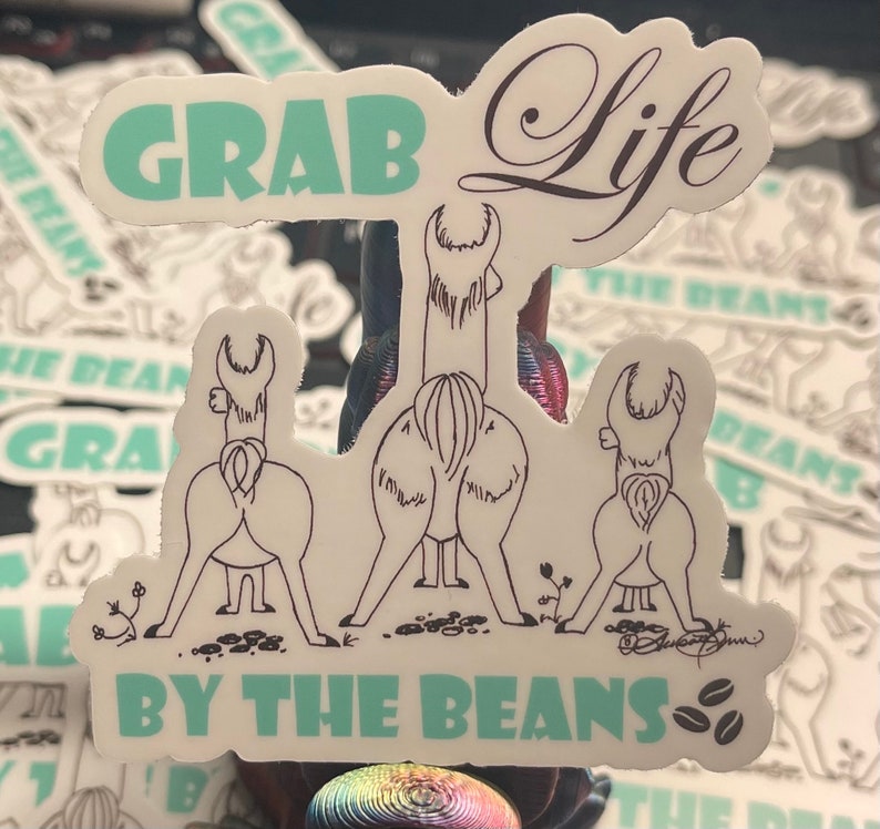 STICKERS B-grade: Grab Life by the Beans Llama Sticker - Etsy
