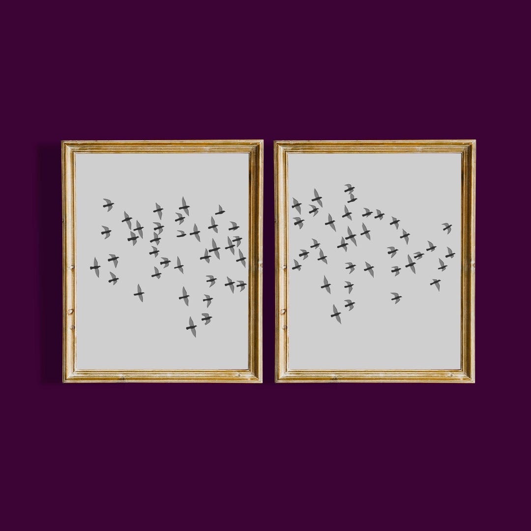 Birds Murmuration Set: Flock Wall Art (digital Download) - Etsy