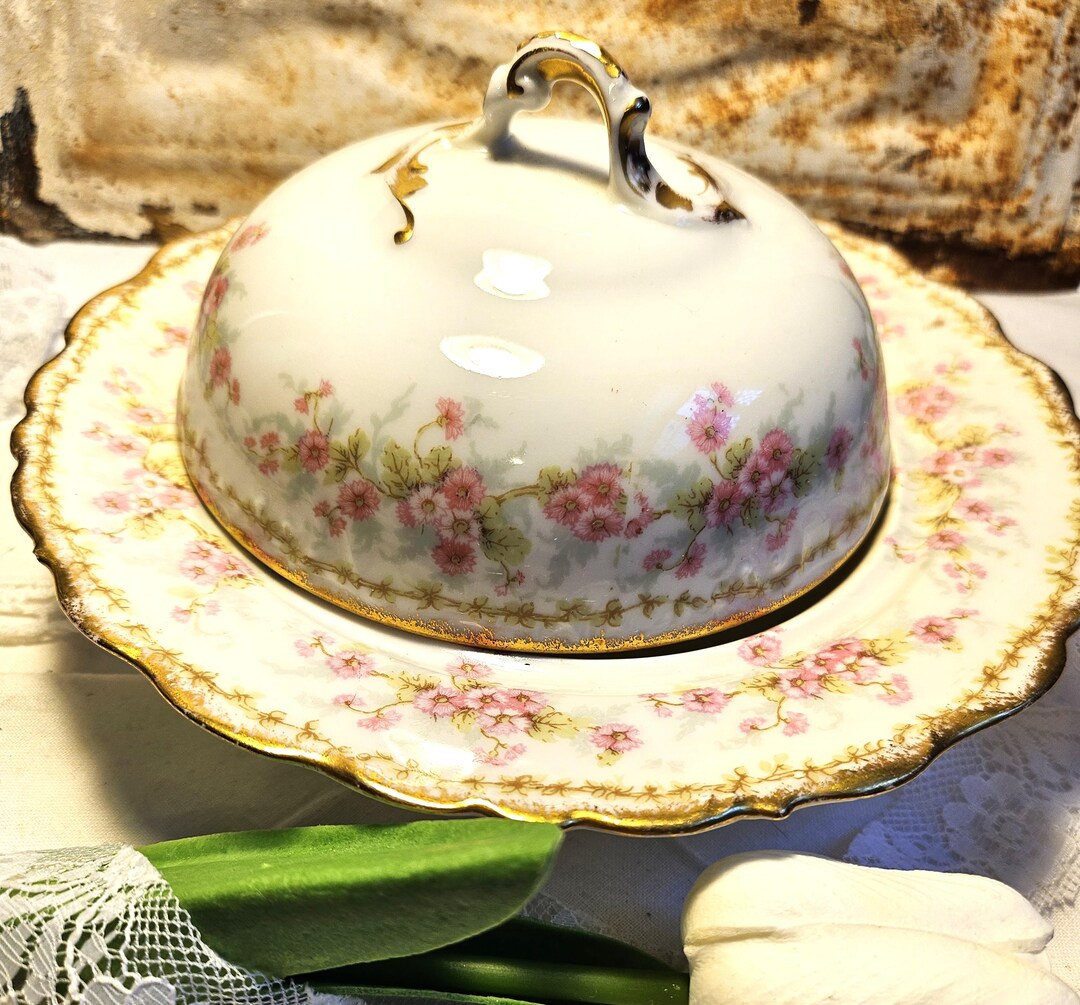 Antique Bawo and Dotter /elite Limoges bwd4 Covered Butter Dish - Etsy