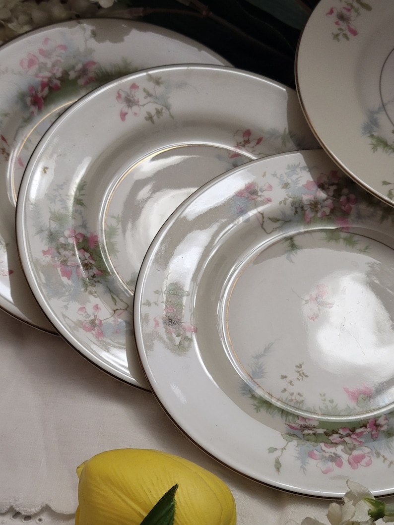 Theodore Haviland apple Blossom Set of 4 Bread - Etsy
