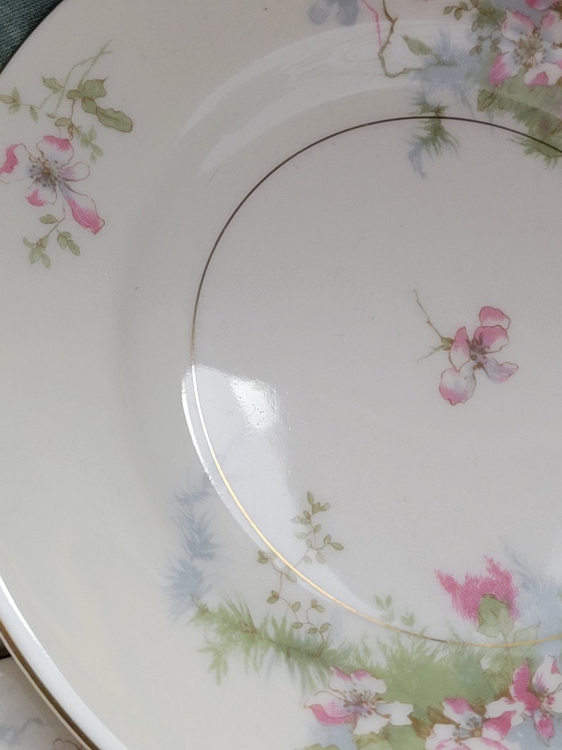 Theodore Haviland apple Blossom Set of 4 Bread - Etsy