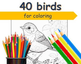 Exquisite Avian Artistry: 40 Gorgeous Bird Coloring Pages, Beautiful ...