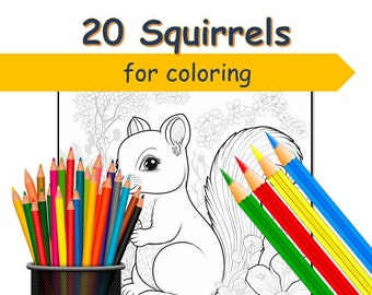Printable Squirrel Coloring Pages for Kids and Adults 80 Pages Instant ...