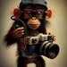 Photographer Monkey With a Camera: High Resolution Digital Art for ...