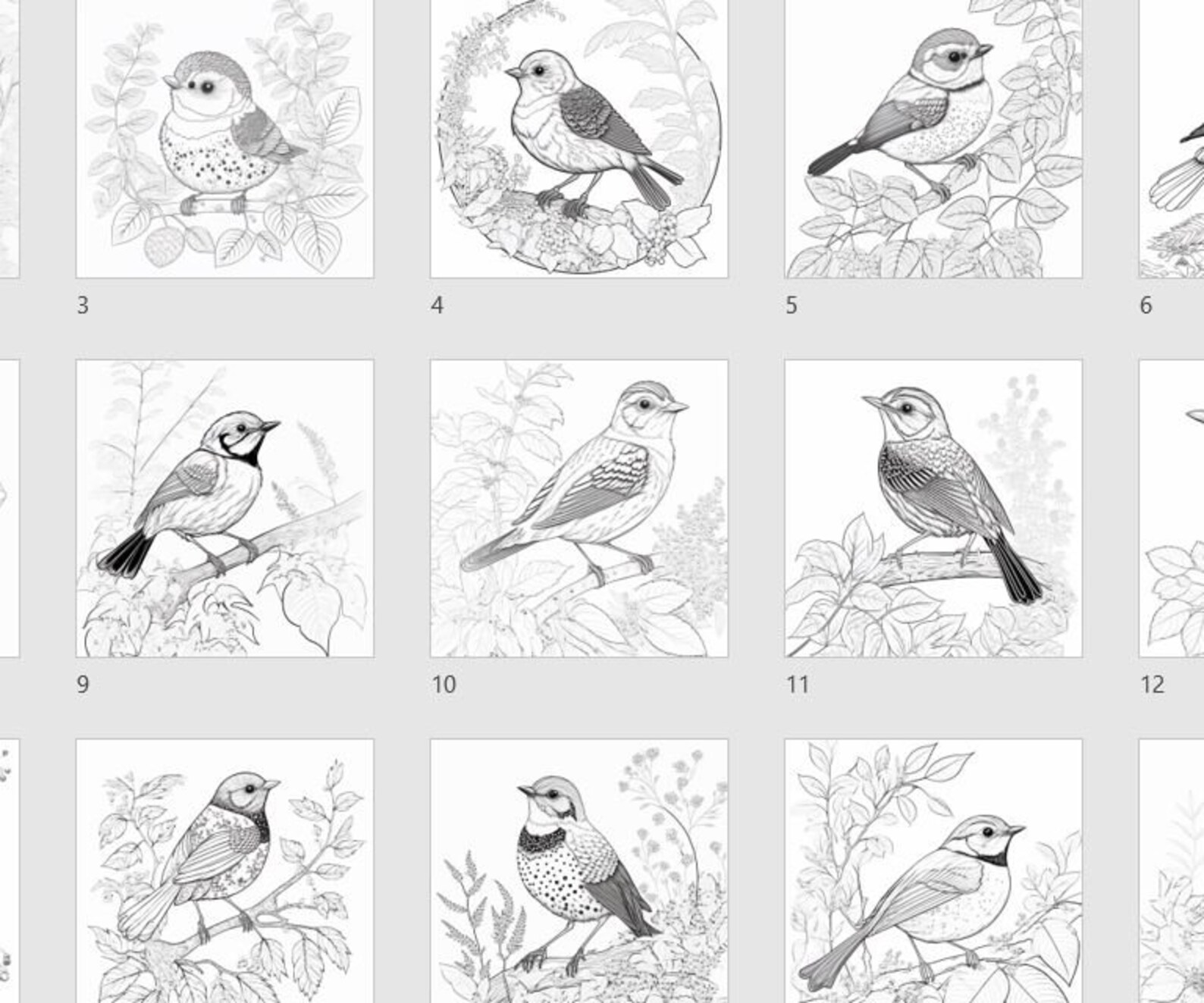 40 Unique Birds Coloring Book Pages for Kids and Adults - Etsy