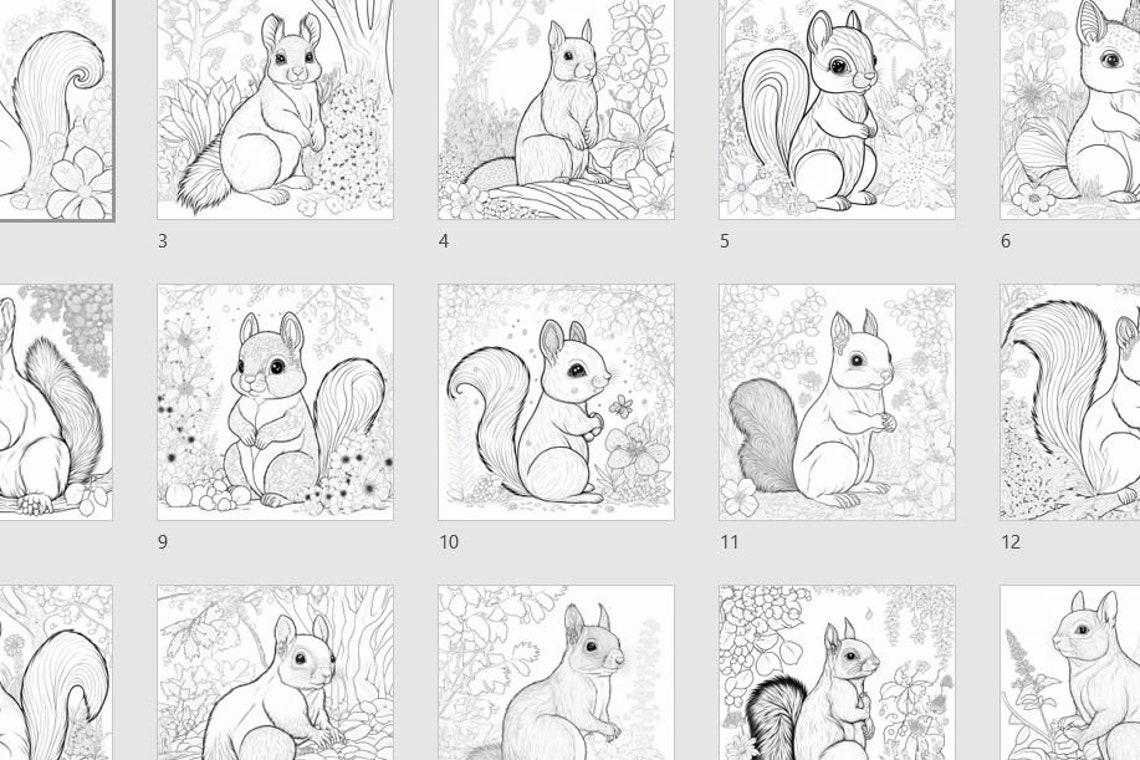 20 Cute Squirrels: Printable Pdf Coloring Book for Adults and Kids - Etsy