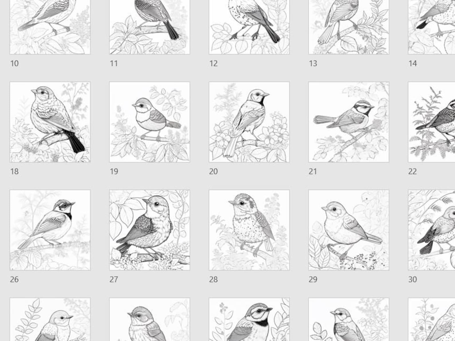 40 Unique Birds Coloring Book Pages for Kids and Adults - Etsy