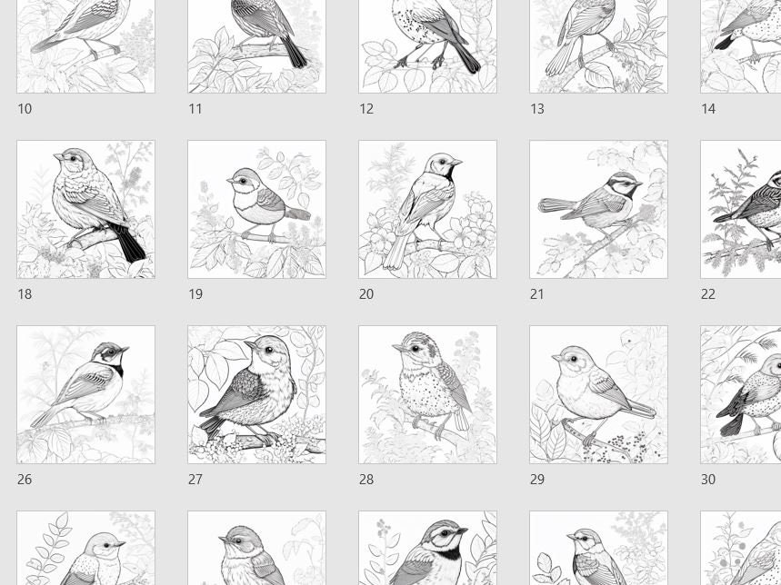 40 Unique Birds Coloring Book Pages for Kids and Adults - Etsy