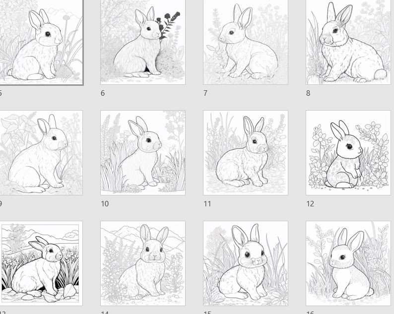 Rabbit Coloring Book: 21 Printable Pages of Fun and Creativity for All ...