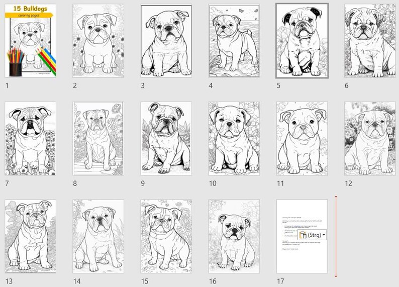 15 Bulldog Coloring Book Pages for Kids and Adults for Download - Etsy