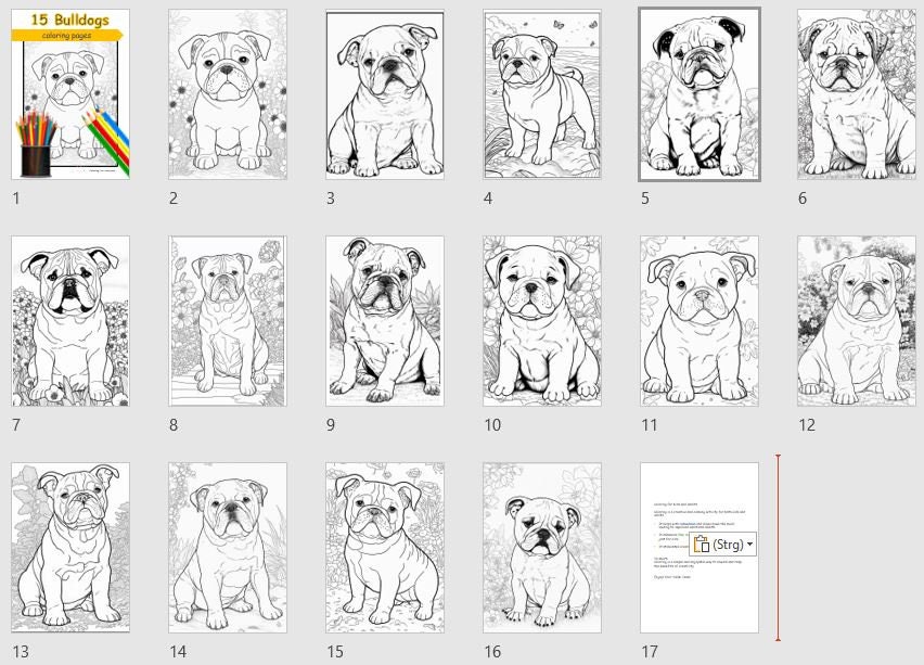 15 Bulldog Coloring Book Pages for Kids and Adults for Download - Etsy