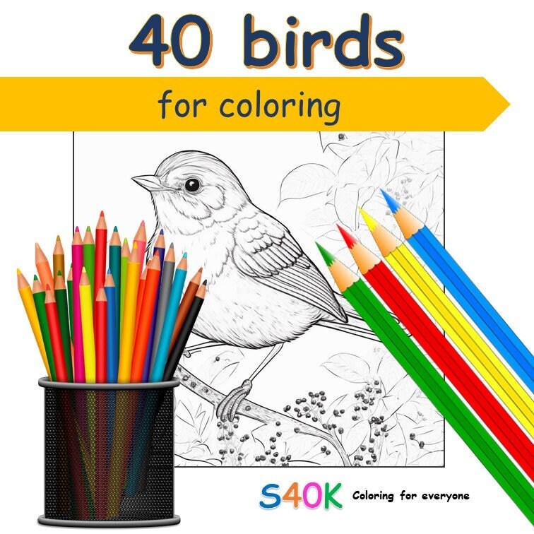 40 Unique Birds Coloring Book Pages for Kids and Adults - Etsy