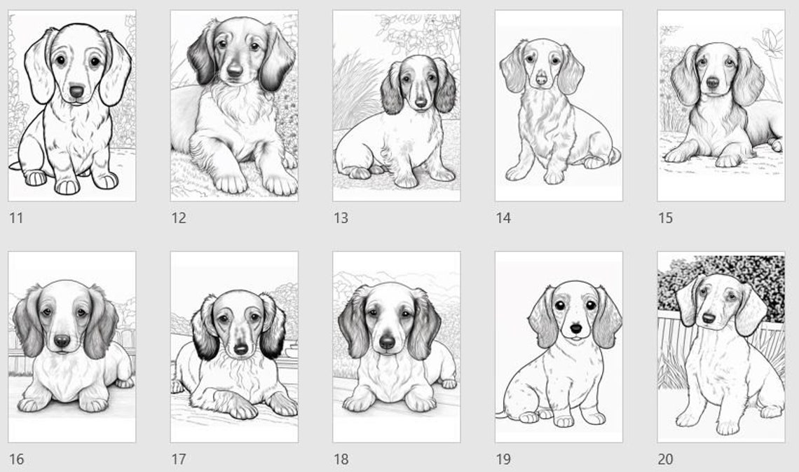 23 Dachshunds Coloring Book Pages for Kids and Adults for Download - Etsy
