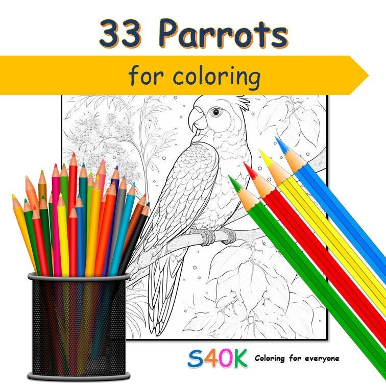 33 Parrots Coloring Pages for Kids and Adults - Etsy